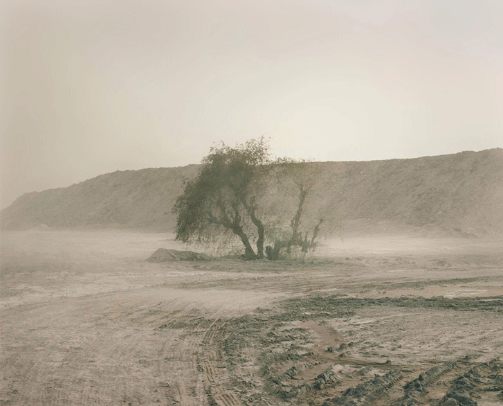 Timothy Wood- Influences